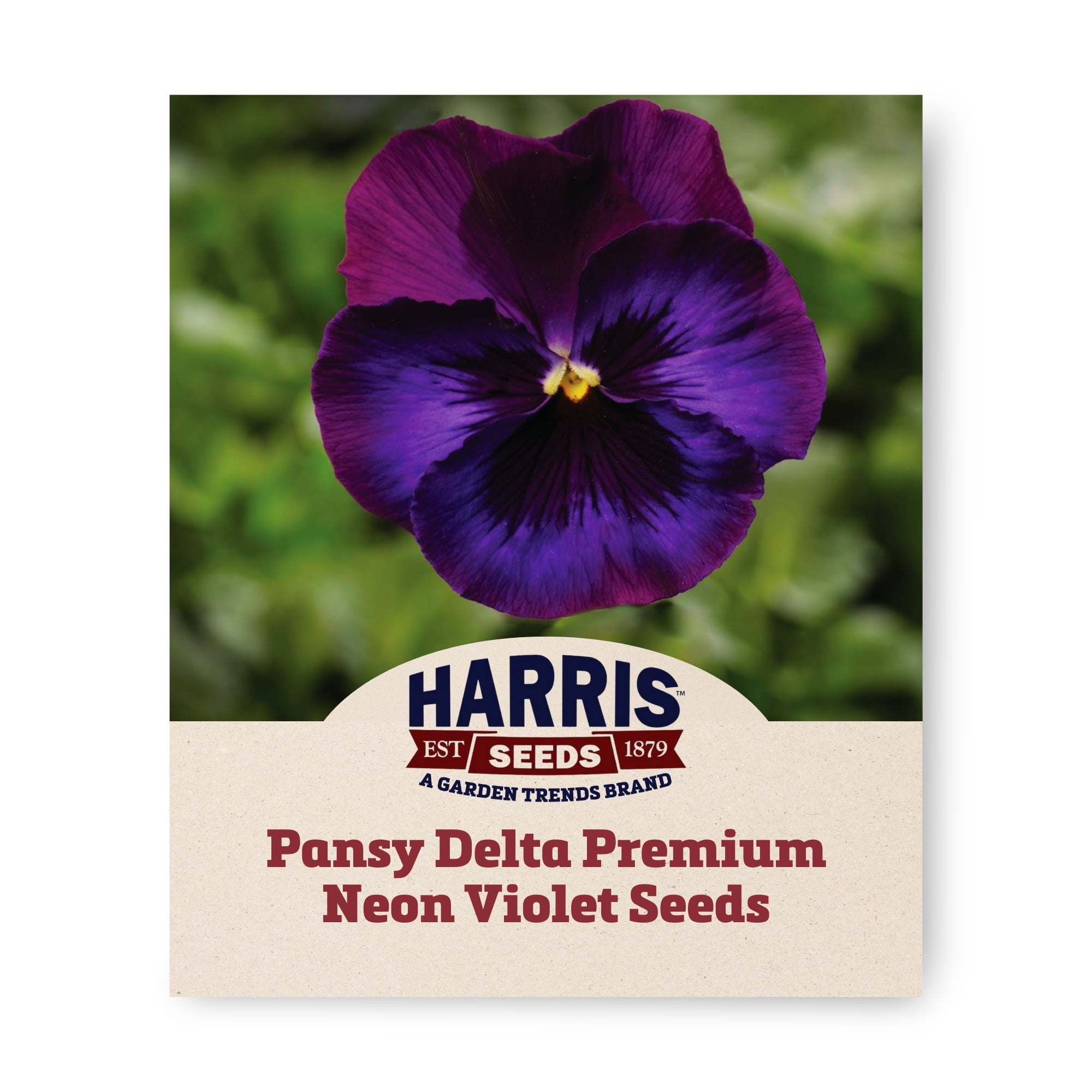 Harris Seeds - Pansy Delta Premium Neon Violet F1 Flower Seeds - 250 ...