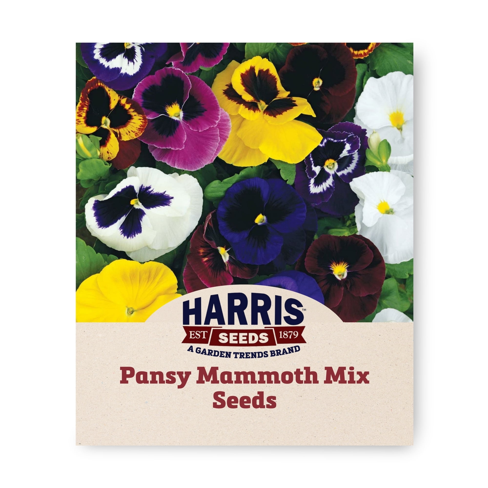 Harris Seeds - Pansy Mammoth Mix F1 Seeds - Quick Germination - 250 ...