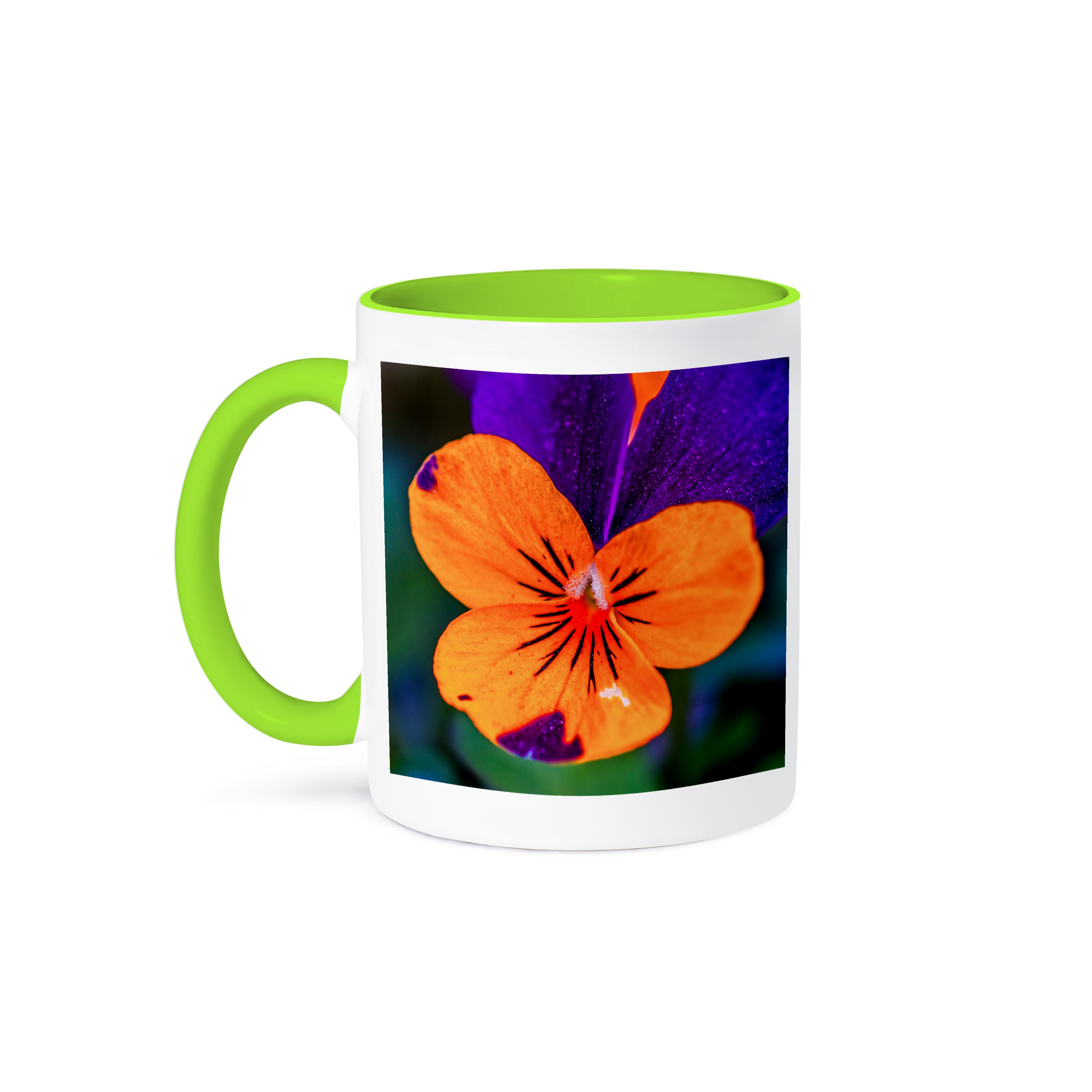 3dRose, Pansy viola tricolor flower of vibrant orange and violet colors ...