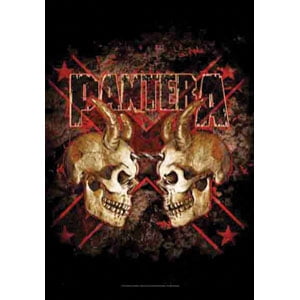 Pantera - Poster Flag - Walmart.com