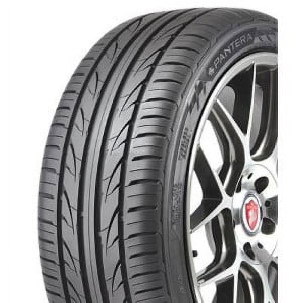 Free Shipping! Pantera Sport A/S All Season P225/50R17 98W Passenger ...