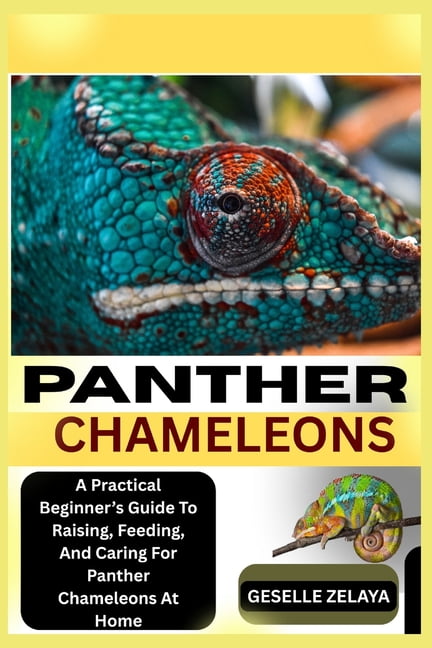 Panther Chameleons: A Practical Beginner's Guide To Raising, Feeding ...