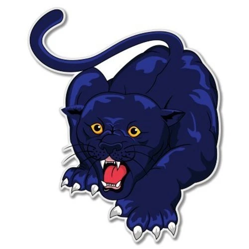 Panther Full Color Car Sticker Phone Decal Water Bottle Stickers Car ...