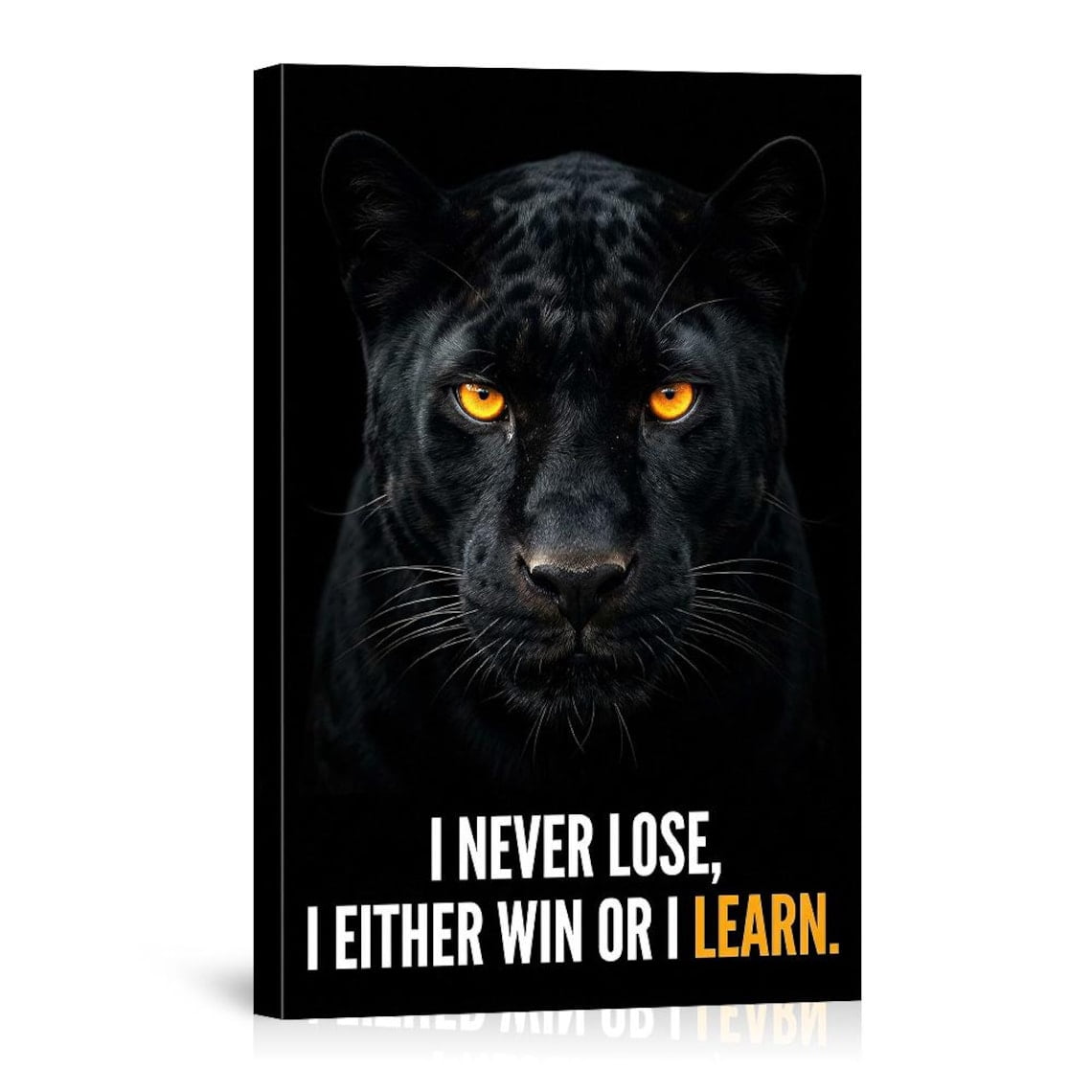 Panther I Never Lose Either Win Or Learn Motivational Quote Home Office ...