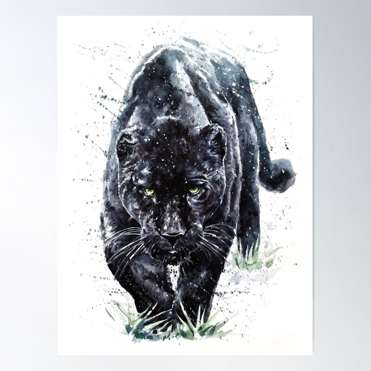 Panther Watercolor Painting Puma Jaguar Predator Animals Poster Wall ...