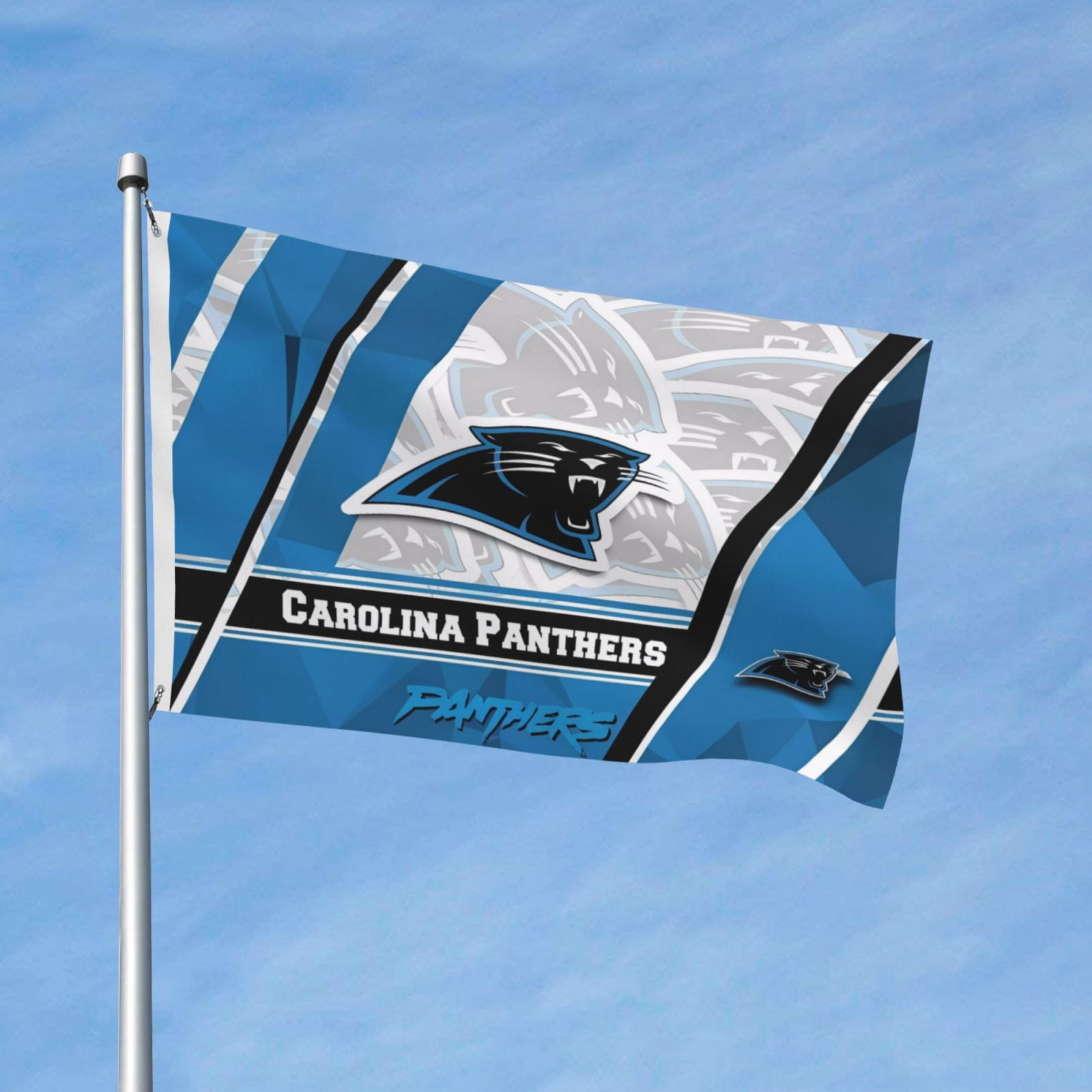 Panthers American Football Team Double Sided Flag 3x5ft Garden Hanging ...