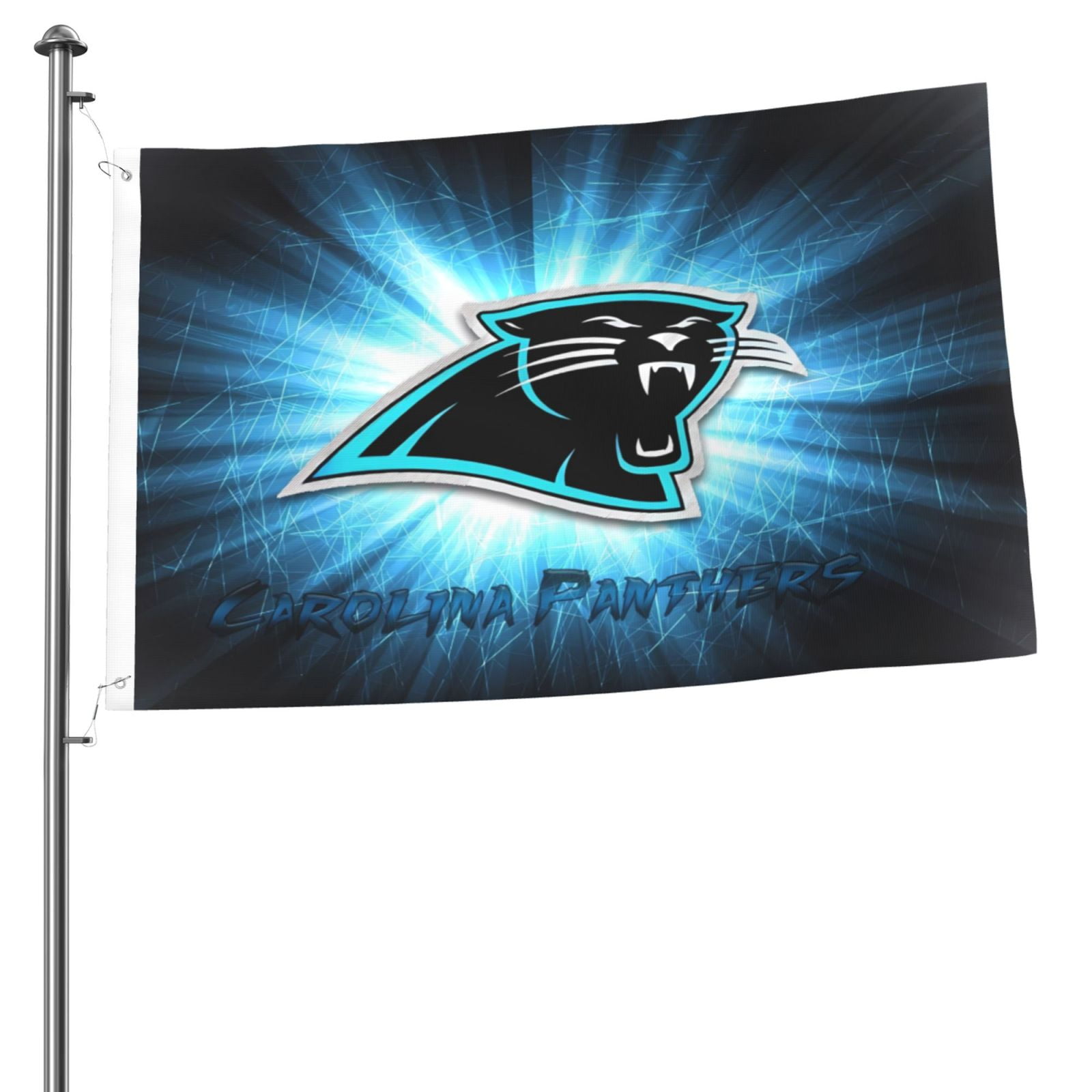 Panthers Football Team Double-Sided Flag 2x3ft, Garden Hanging Flag ...
