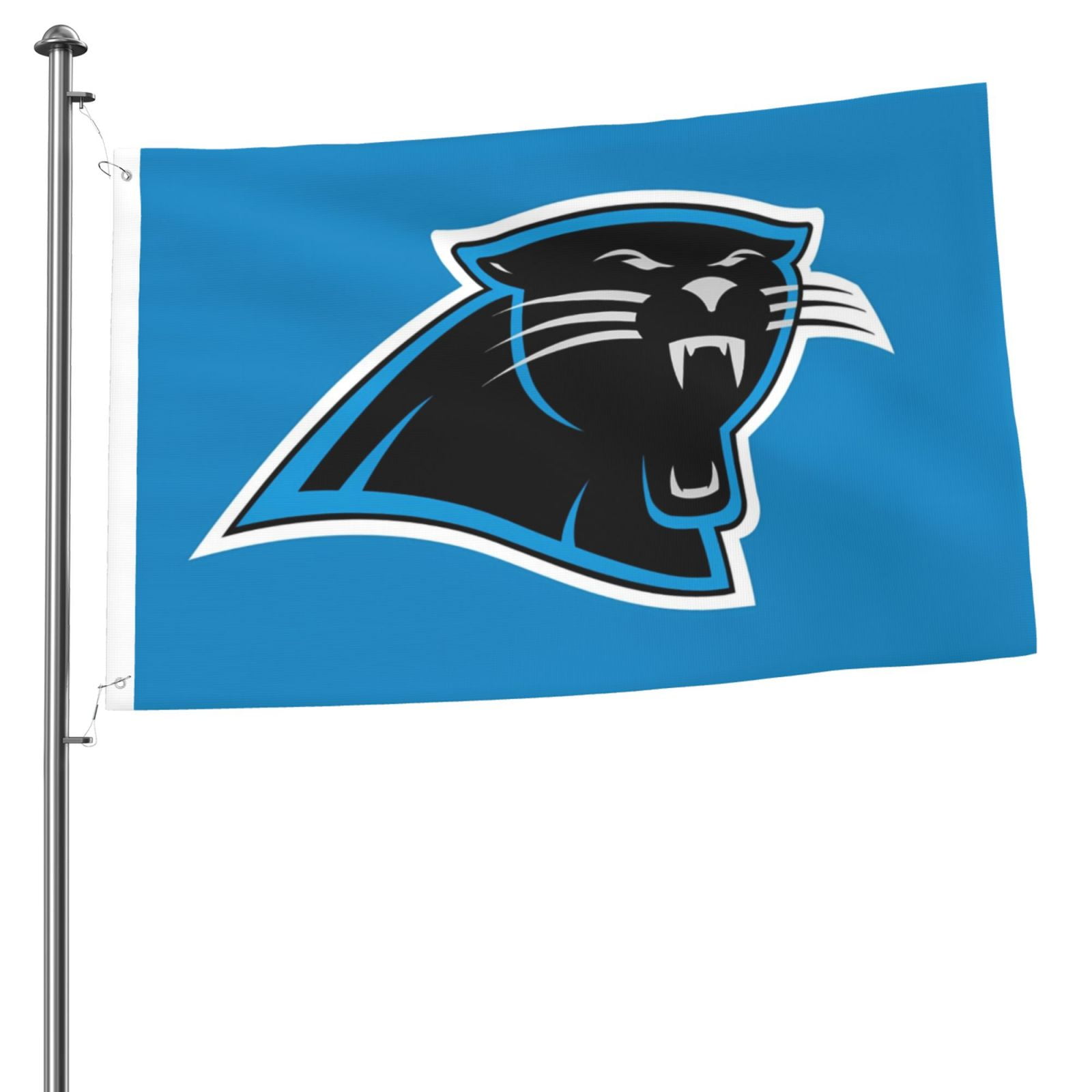 Panthers Football Team Double-Sided Flag 2x3ft, Garden Hanging Flag ...