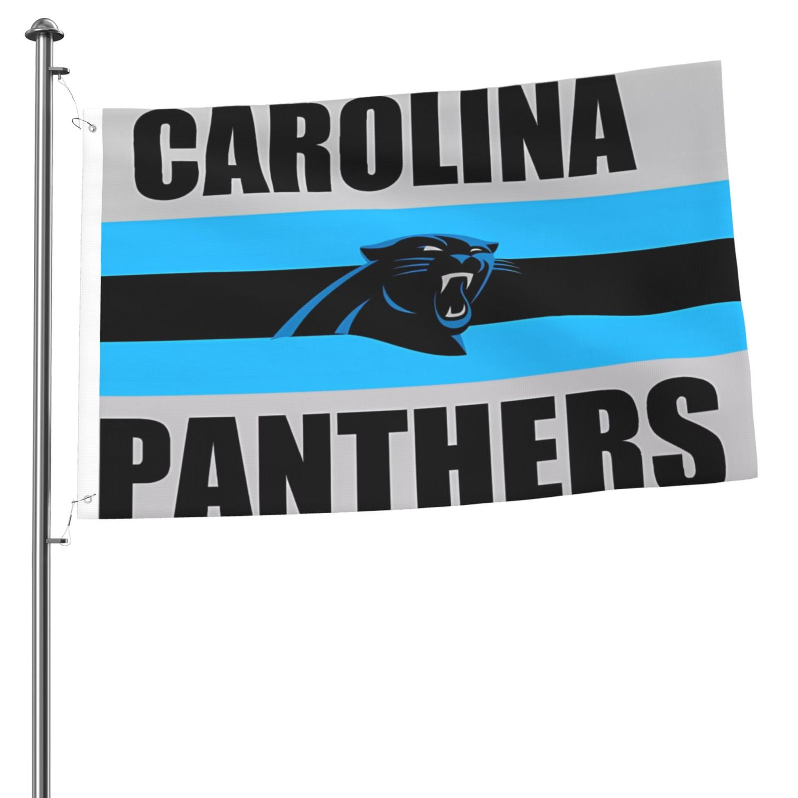 Panthers Football Team Double-Sided Flag 2x3ft, Garden Hanging Flag ...
