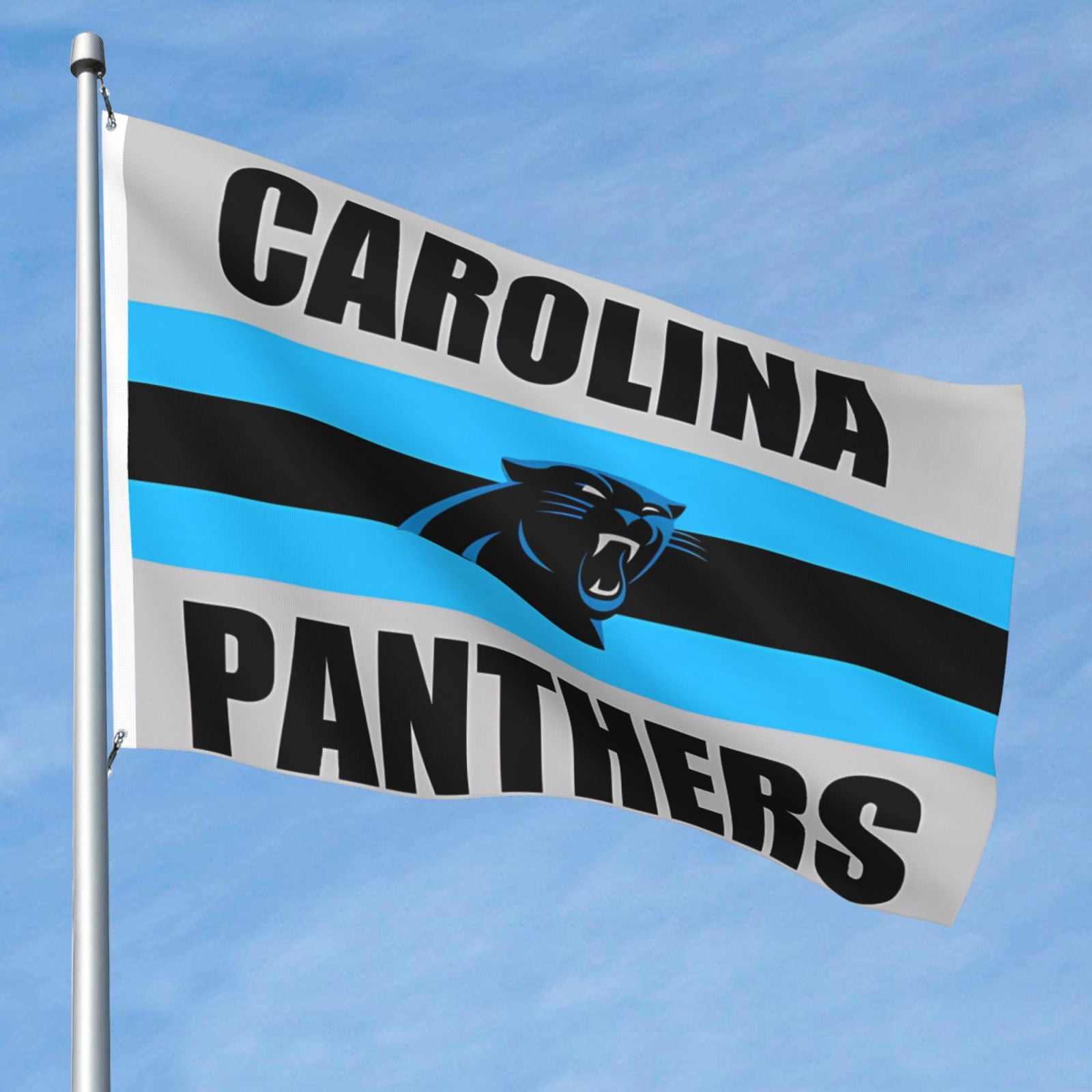 Panthers Football Team Double-Sided Flag 5x8ft, Garden Hanging Flag ...
