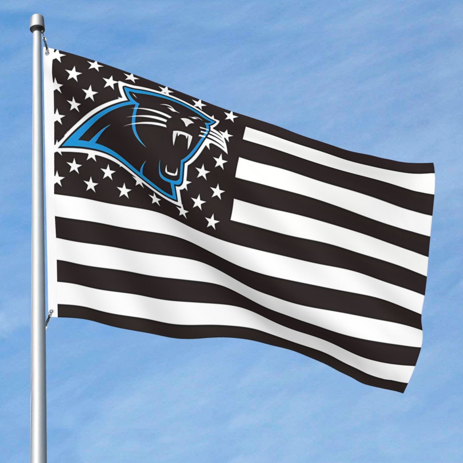 Panthers Football Team Double-Sided Flag 5x8ft, Garden Hanging Flag ...