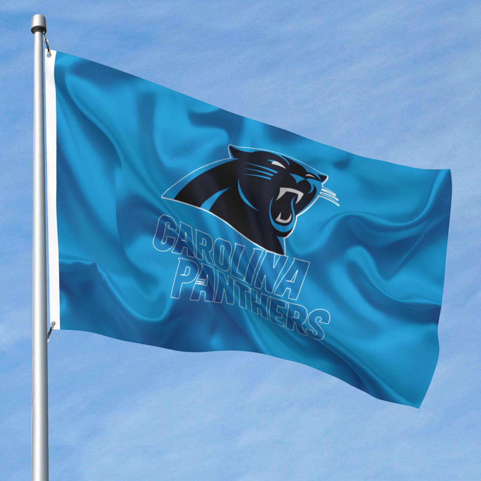 Panthers Football Team Double-Sided Flag 5x8ft, Garden Hanging Flag ...