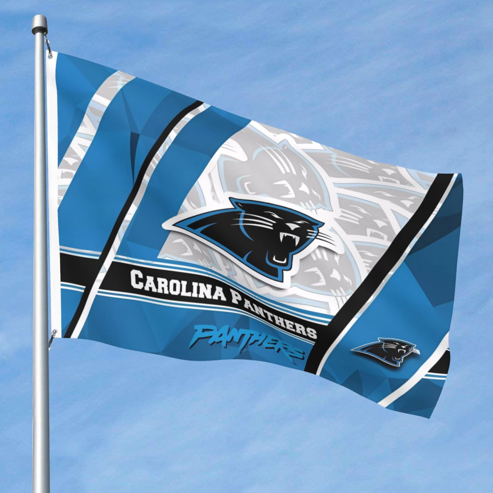 Panthers Football Team Double-Sided Flag 5x8ft, Garden Hanging Flag ...
