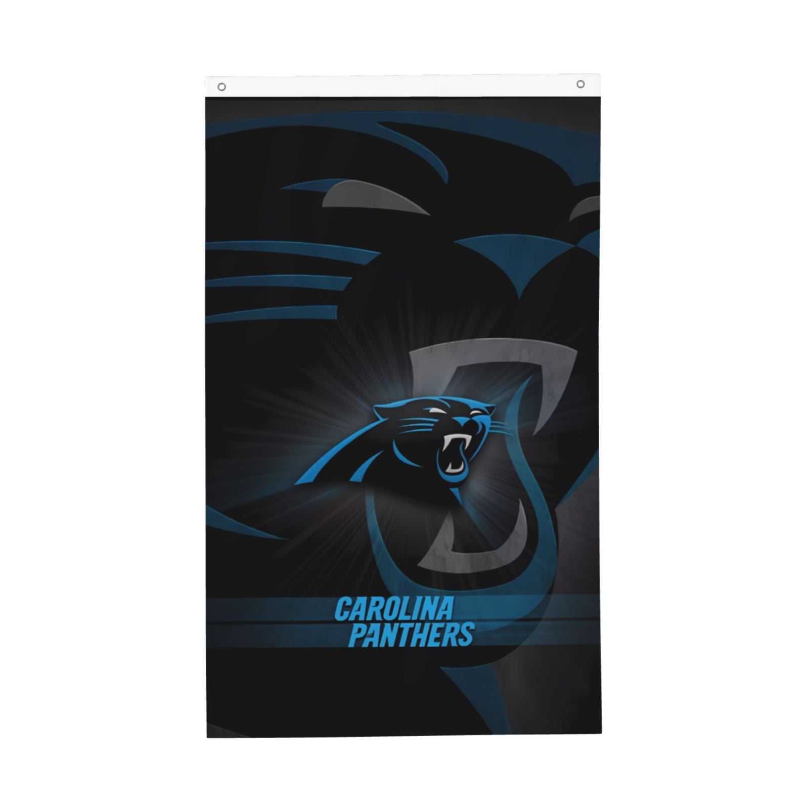 Panthers Football Team Double Sided Support Flag 3x5ft Flag ...