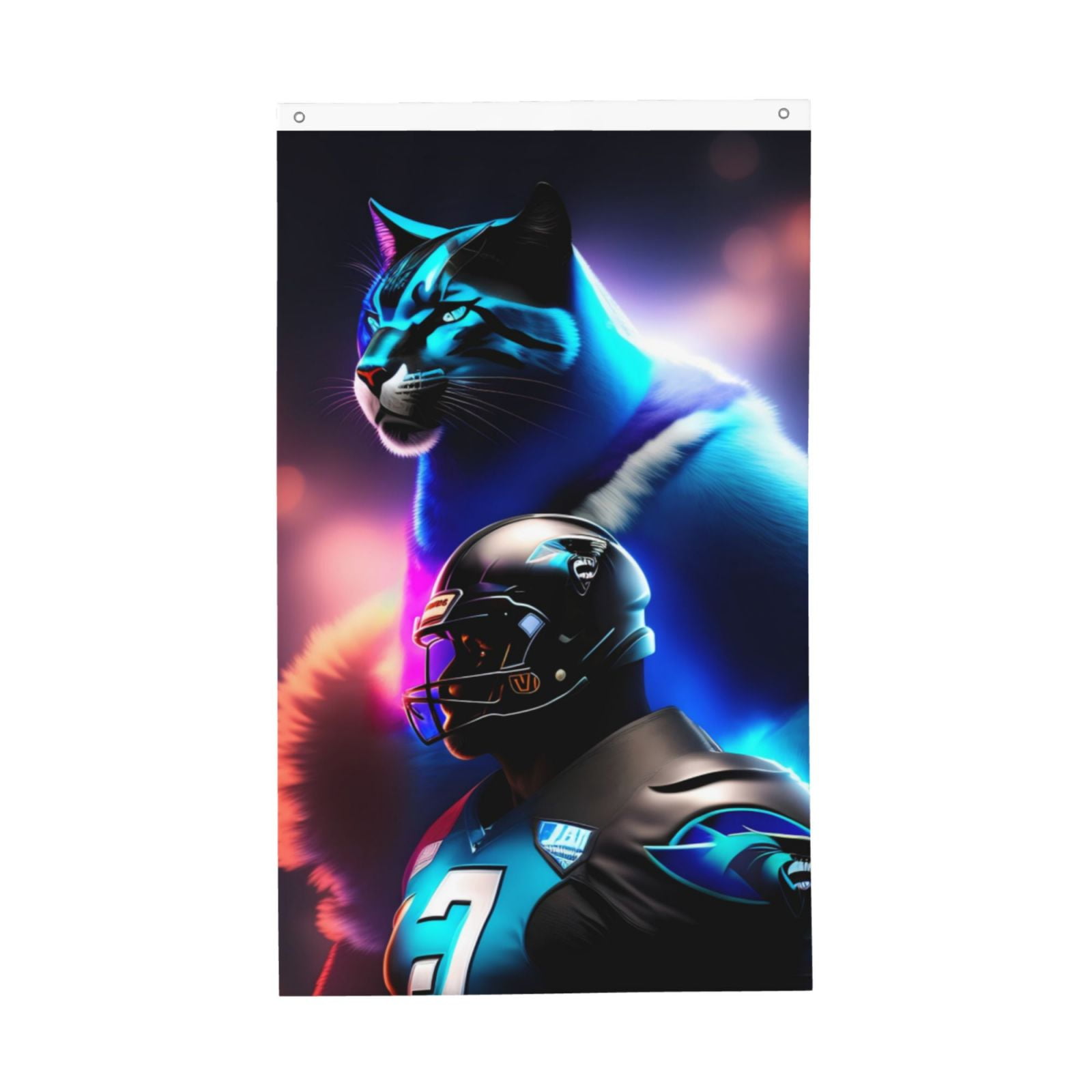 Panthers Football Team Double Sided Support Flag 3x5ft Flag ...