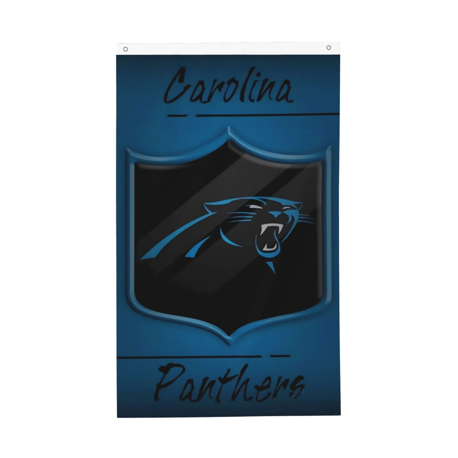 Panthers Football Team Double Sided Support Flag 3x5ft Flag ...