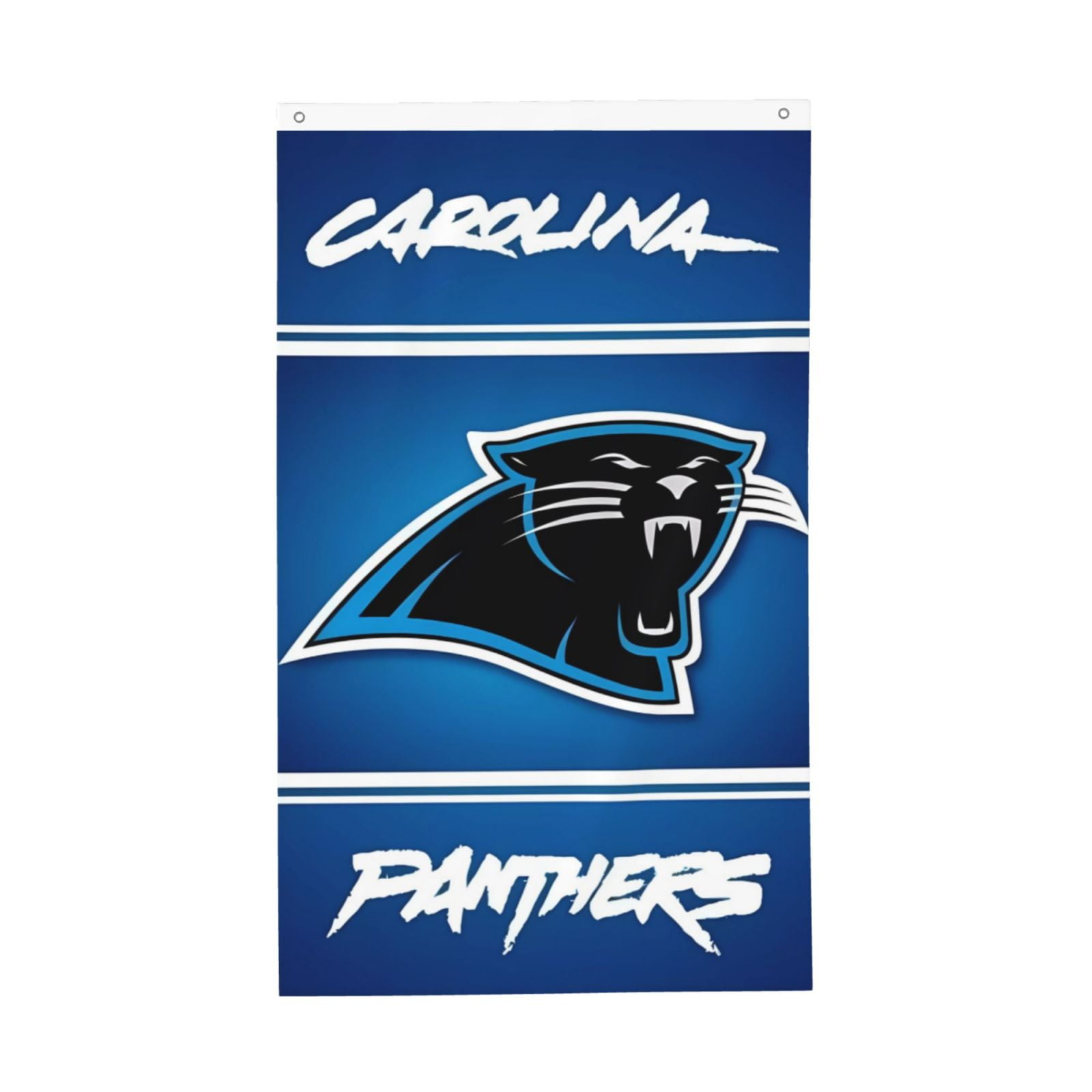 Panthers Football Team Double Sided Support Flag 3x5ft Flag ...