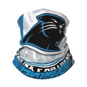 Panthers Face Mask