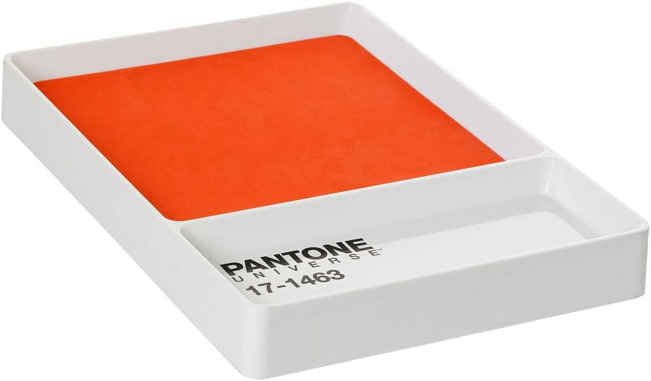 Pantone Key Tray TANGO-17-1463, One Size, Tangerine Tango - Walmart.com