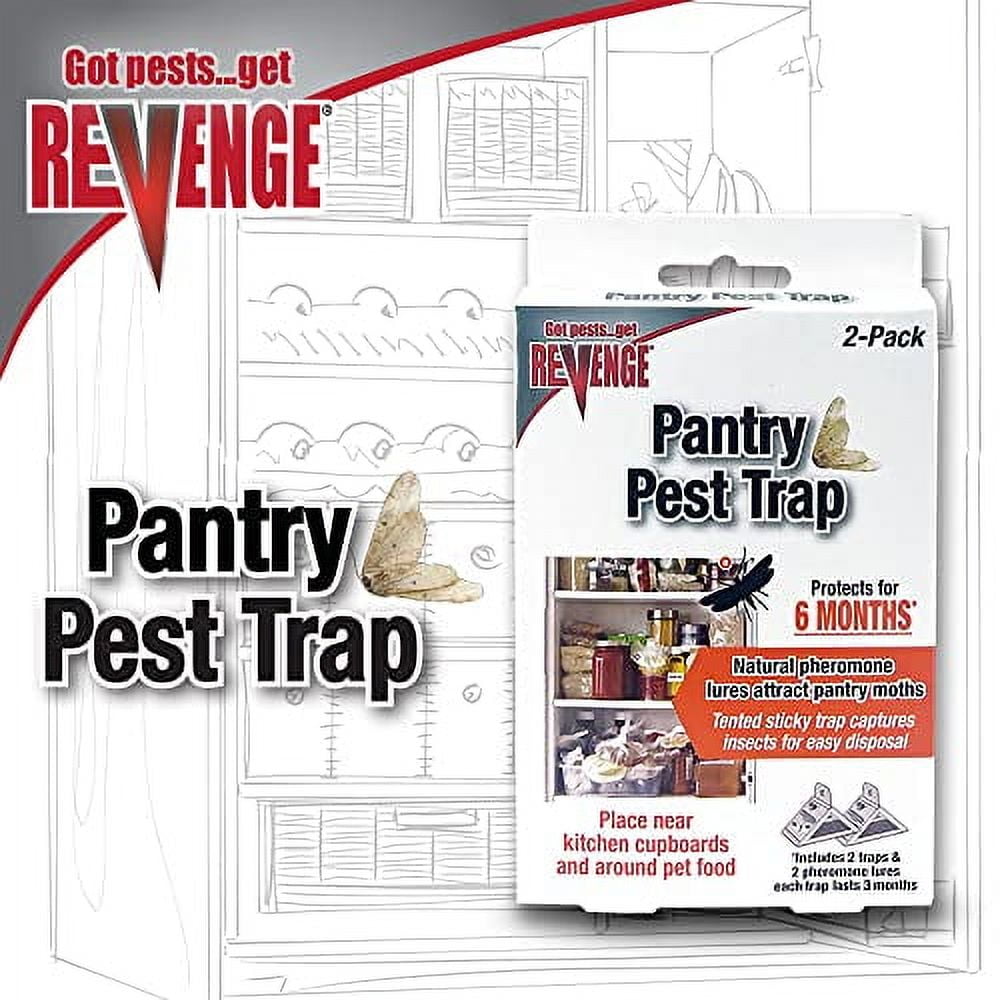 Pantry Pest Traps pk 076807007009 124/700 2 - Walmart.com