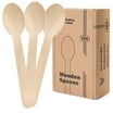 LotFancy 100 Mini Disposable Wooden Spoons, 6.25 in, Biodegradable ...