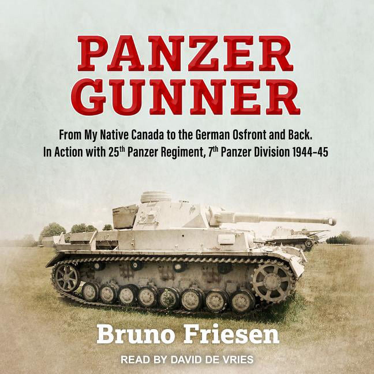 Panzer Gunner: From My Native Canada to the German Ostfront and Back ...