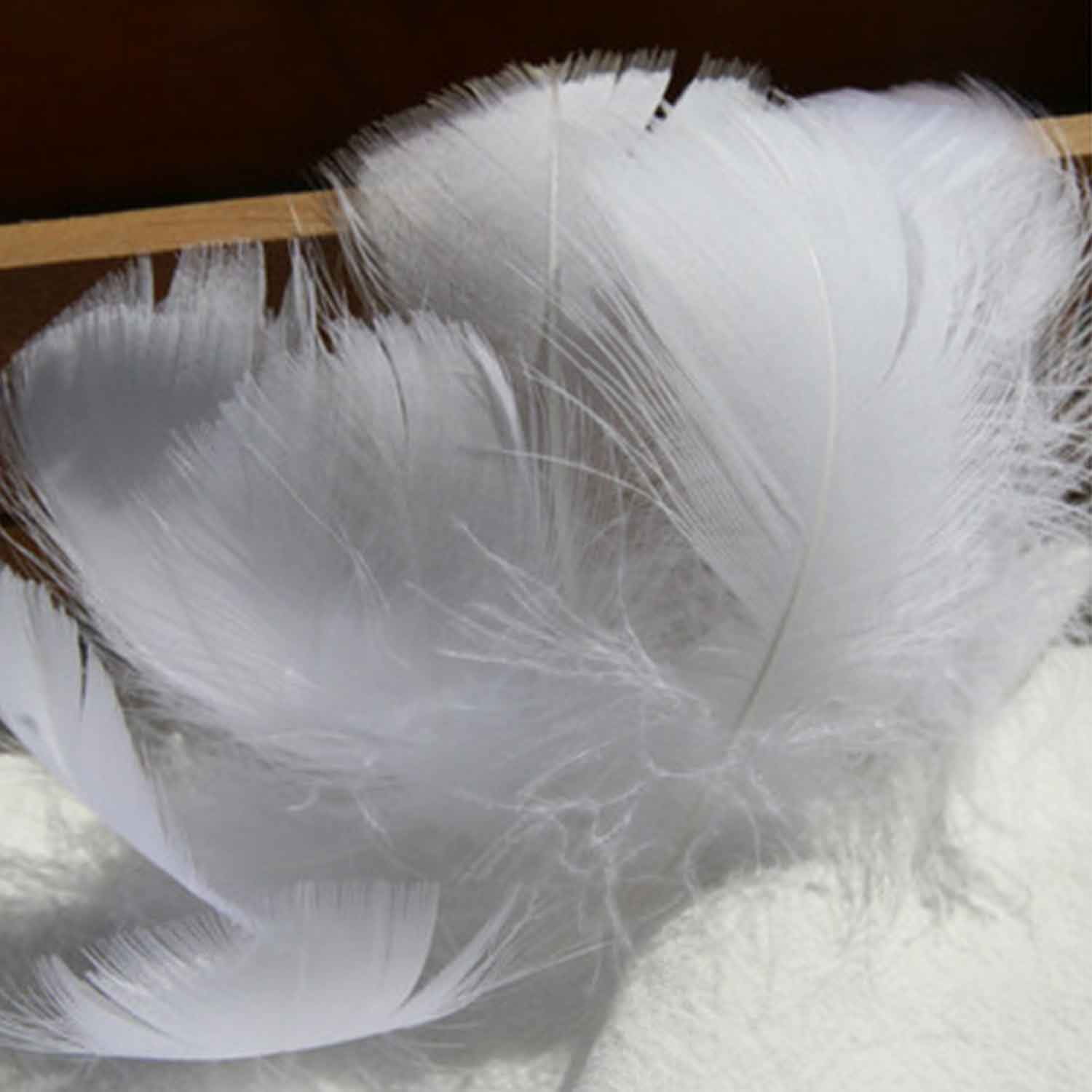 Papapt 100 Pcs Tiny Pastel Colors Goose Feather 5-8CM Assorted Fluffy ...