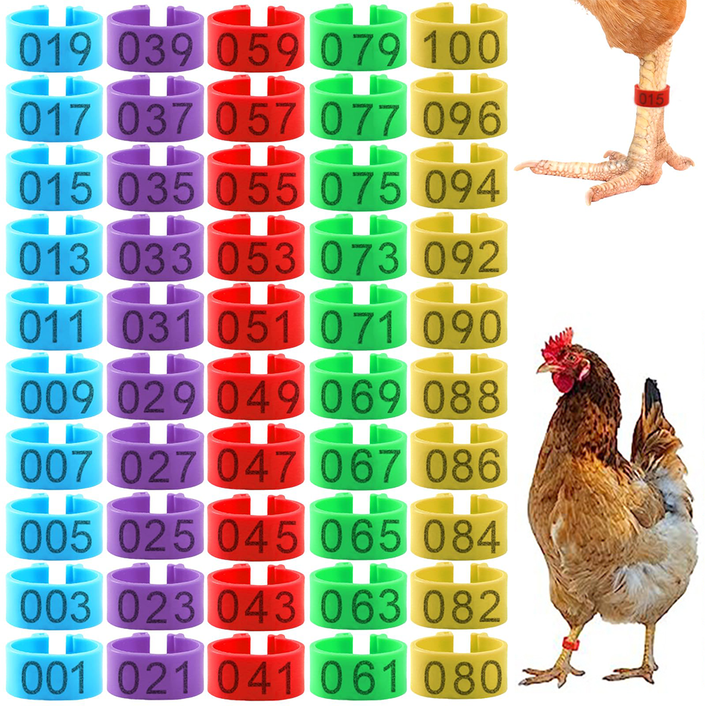 Papapt 100PCS Chicken Identification Band 5Color Plastic Poultry ...