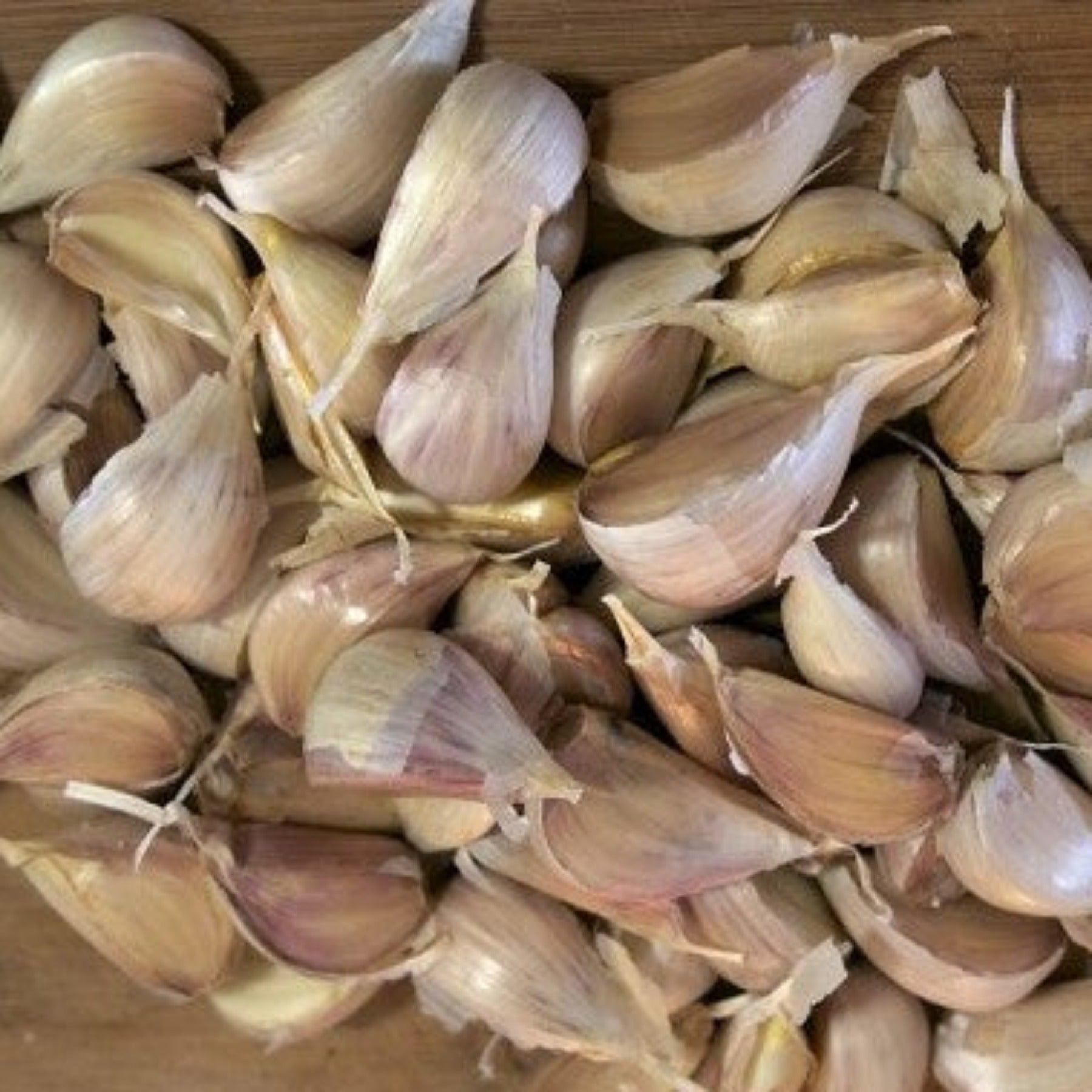 Papaws Garden Supply LLC Music Certified Seed Cloves for Planting ...