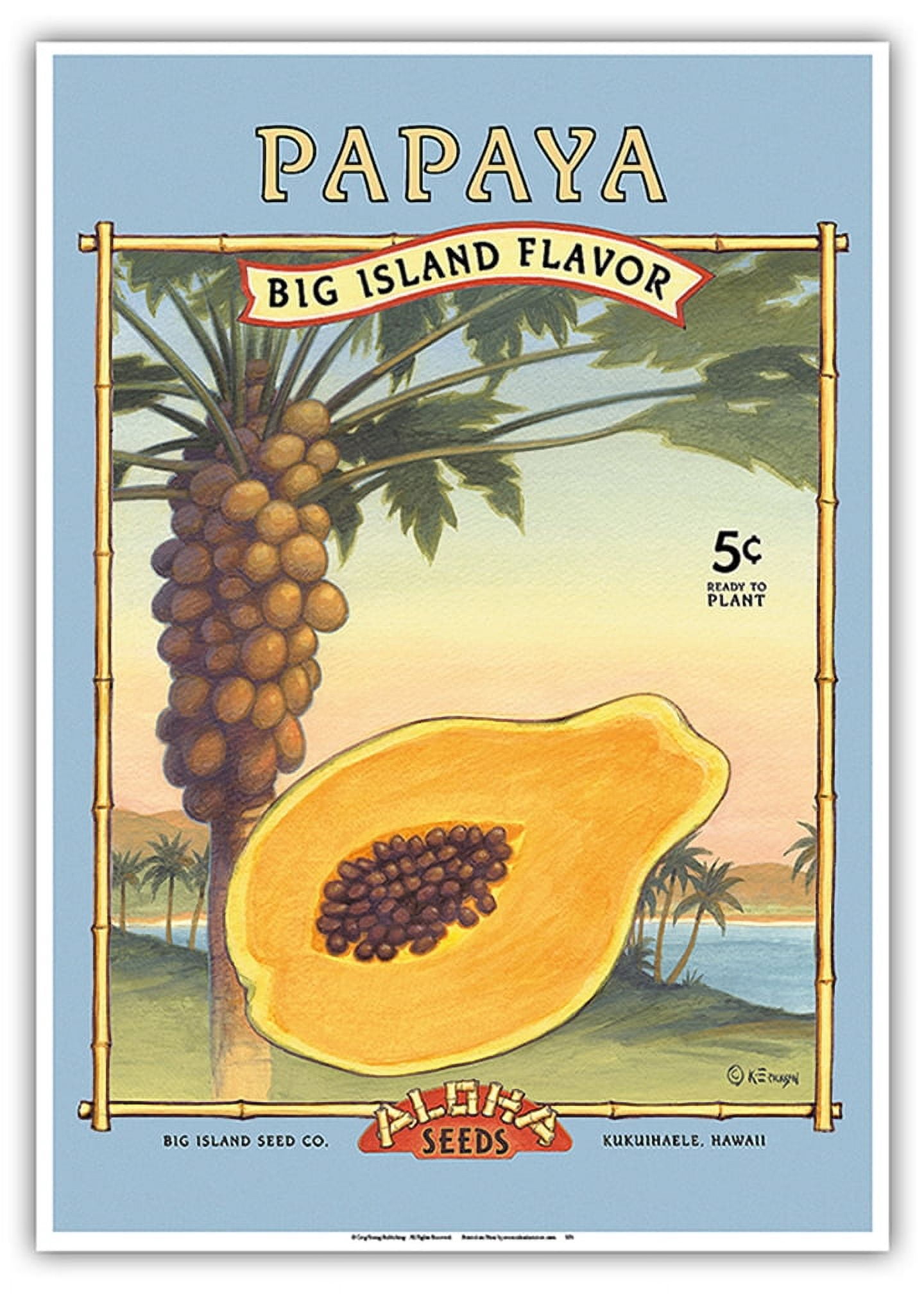 Papaya - Aloha Seeds - Big Island Seed Company - Big Island Flavor ...