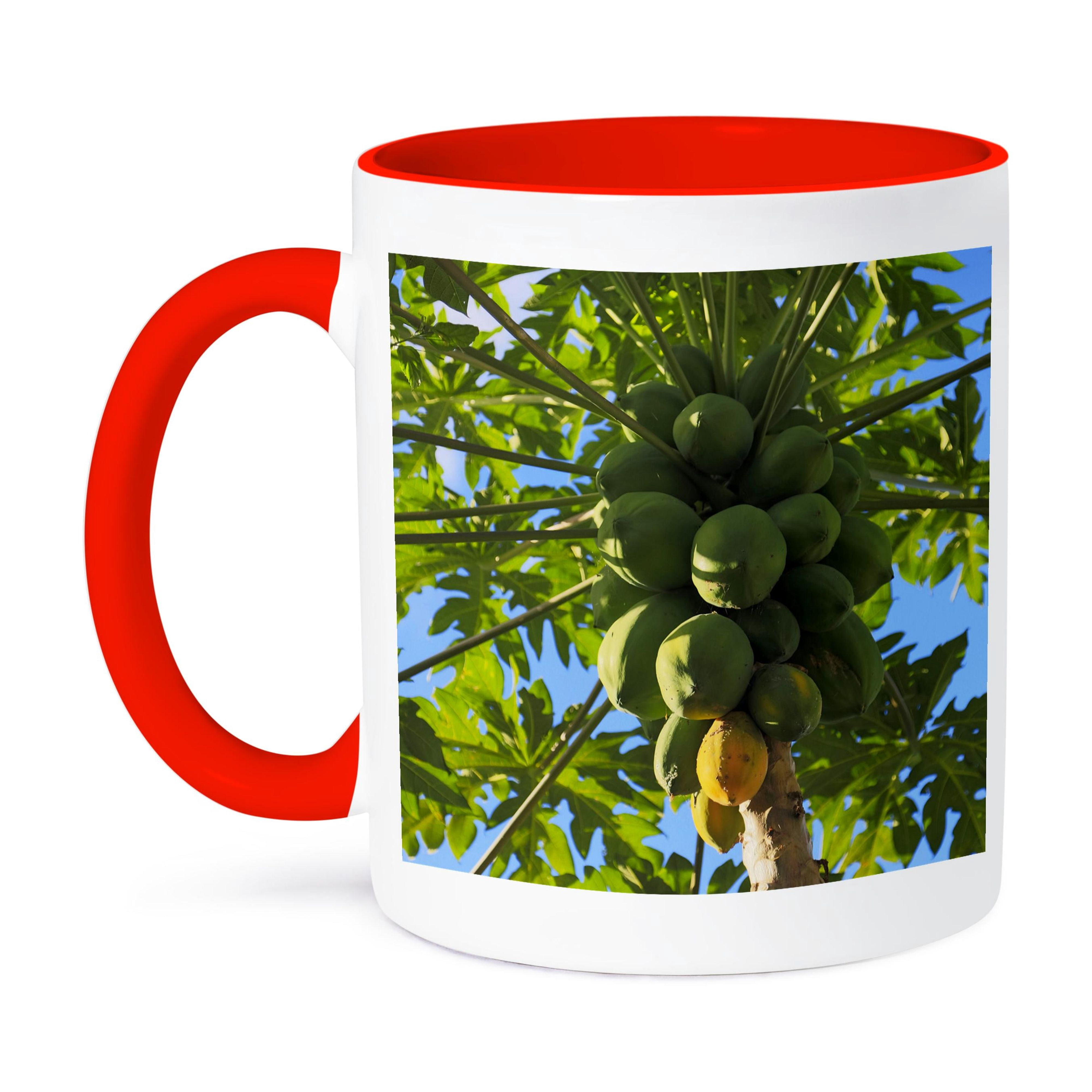 3dRose, Papaya tree, Melanesia, Fiji - OC01 DPB0543 - Douglas Peebles ...