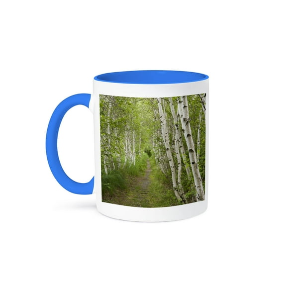 Paper Birch Trees, Path, Acadia Np, Maine - Us20 Jmo0986 - Jerry And ...