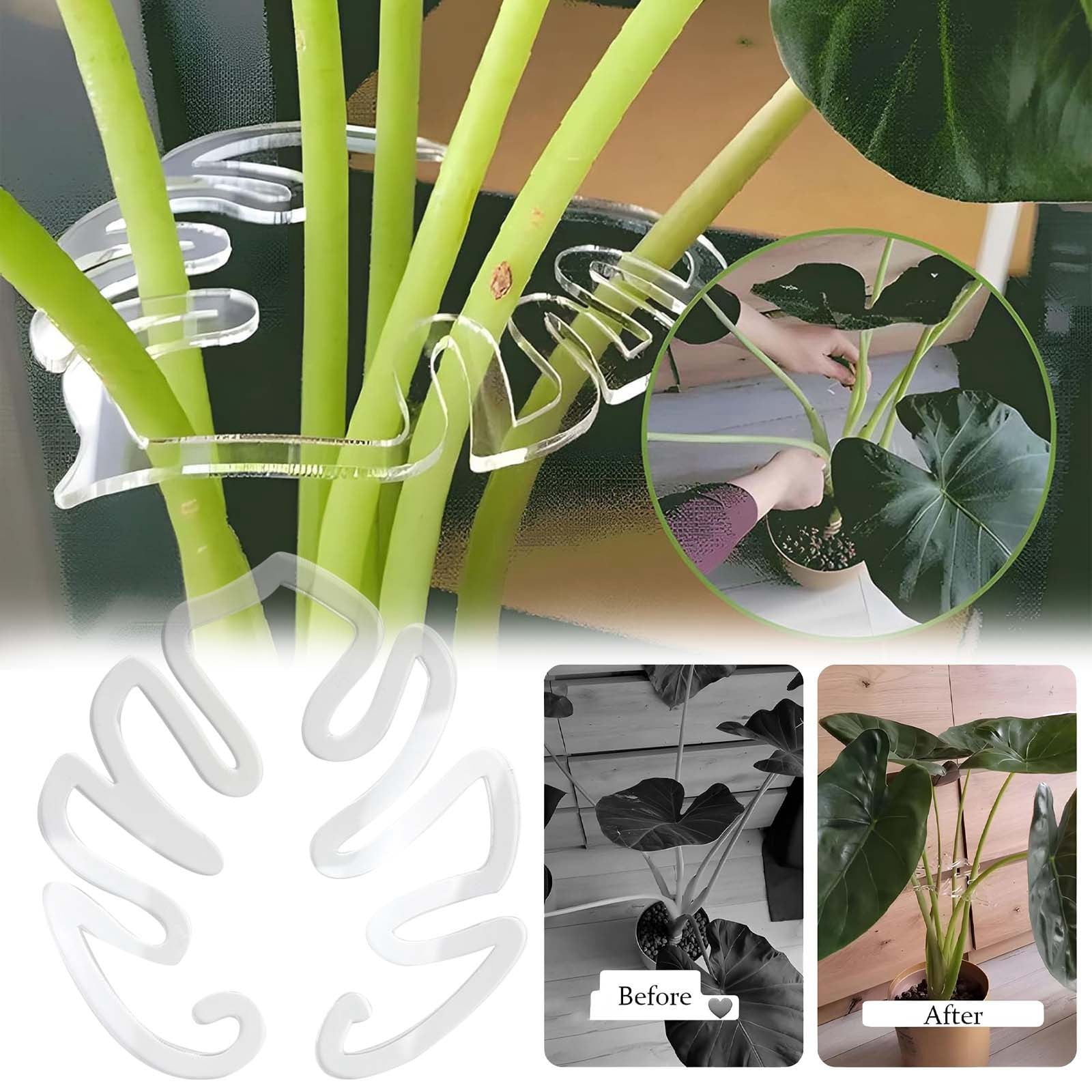 Paper Clamps Small Jaw Hair Clips Office Clips Small Flower Stem Fixer ...