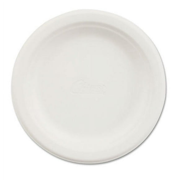 Chinet Plates in Disposable Tableware - Walmart.com