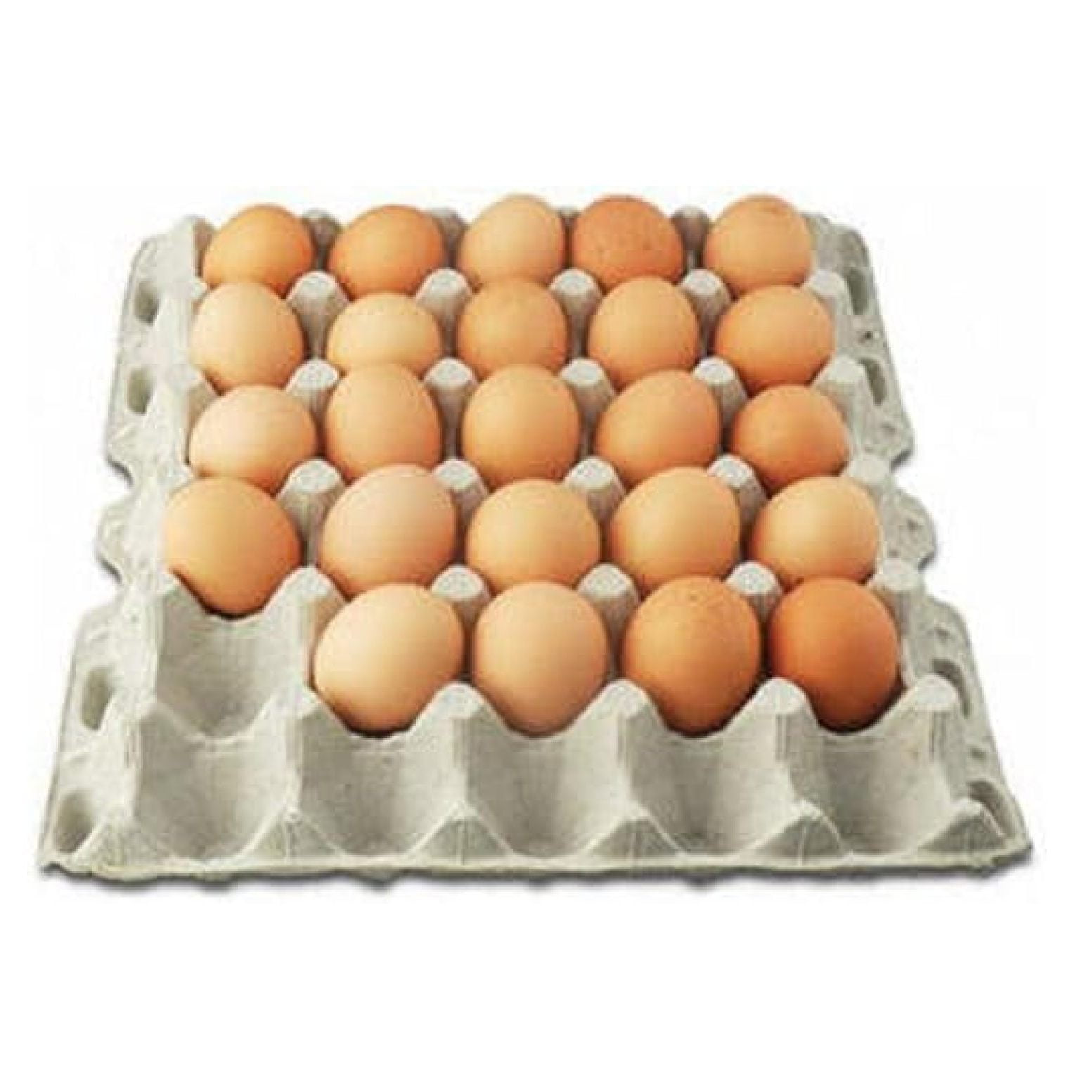 Paper Egg Filler Flats | 30 Eggs Per Flat | Biodegradable & Eco ...