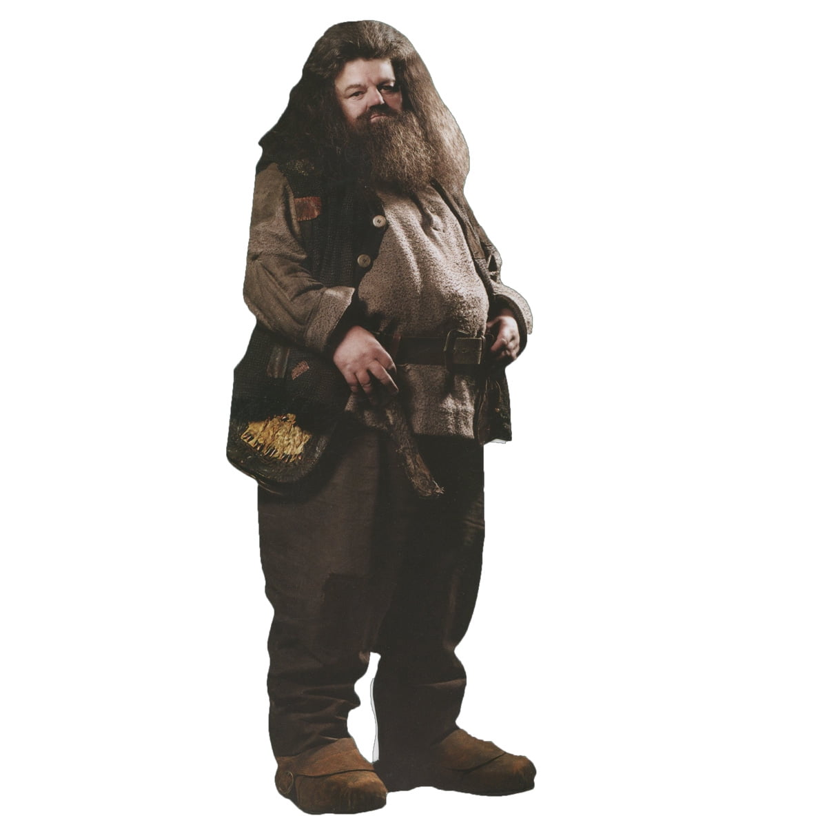 Paper House Productions Rubeus Hagrid Harry Potter Die Cut Blank Note ...