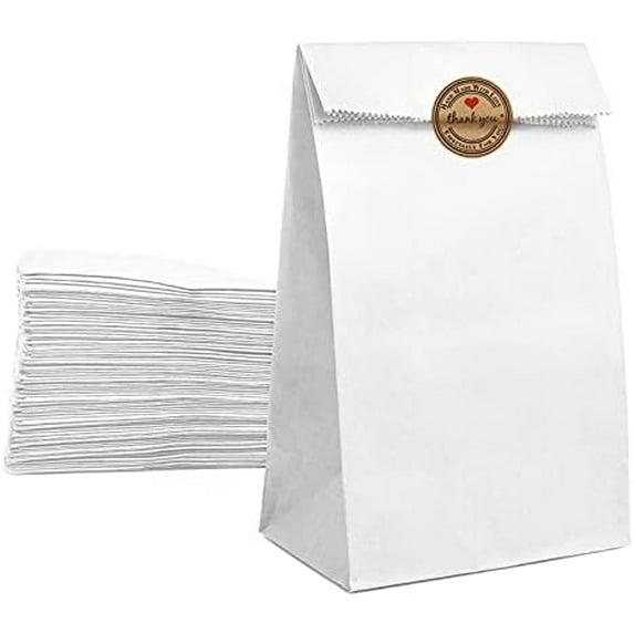 Paper Lunch Bags 100 Count Large White Lunch Bags Sacks Kraft White ...