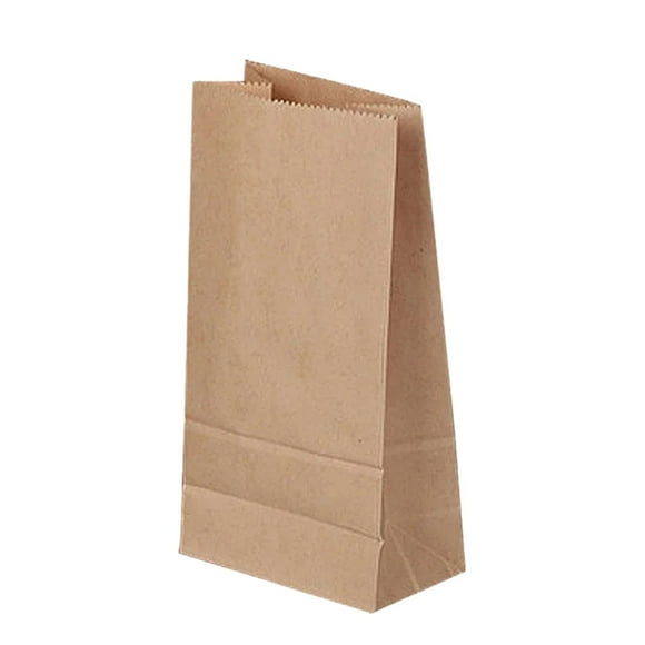 Brown Paper Bag Lunch Bag