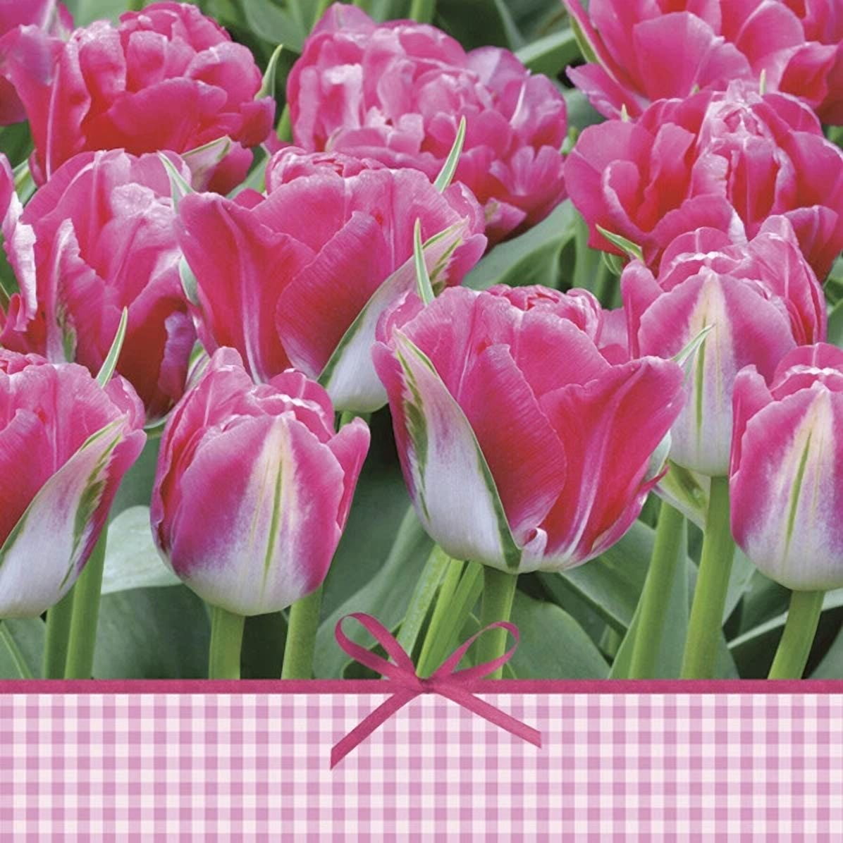 Paper Luncheon Decoupage Napkins European Design Pink Tulips Pack Of 20 ...