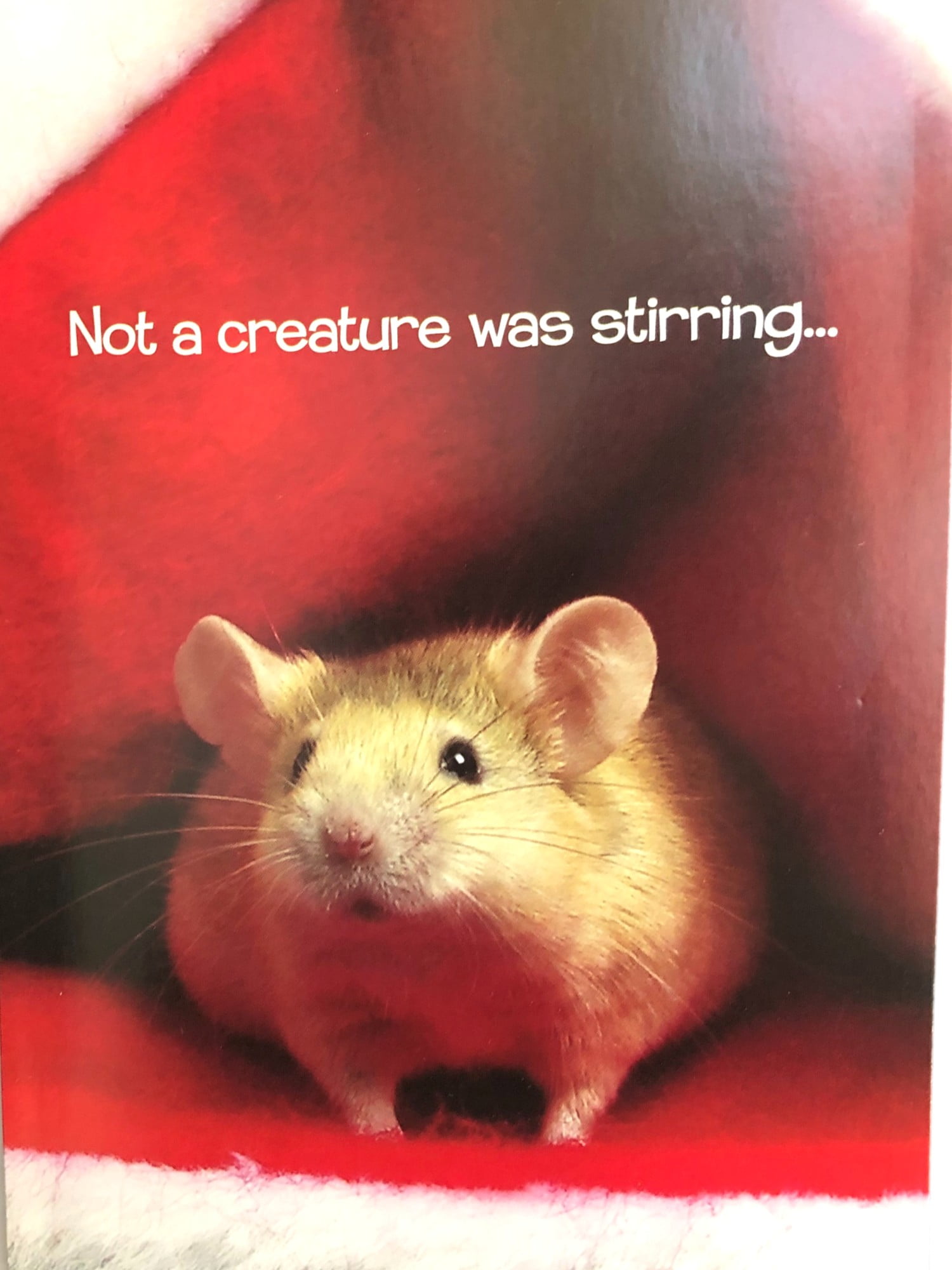 Paper Magic 18 Mouse Themed Not A Creature Was Stirring Holiday ...