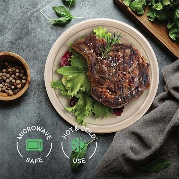 Paper Plates, 100% Compostable Heavy Duty Disposable 10 Inch Plate ...