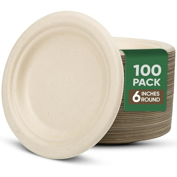 Paper Plates 6 Inches, 100 Pack Disposable Plates – 100% Compostable ...