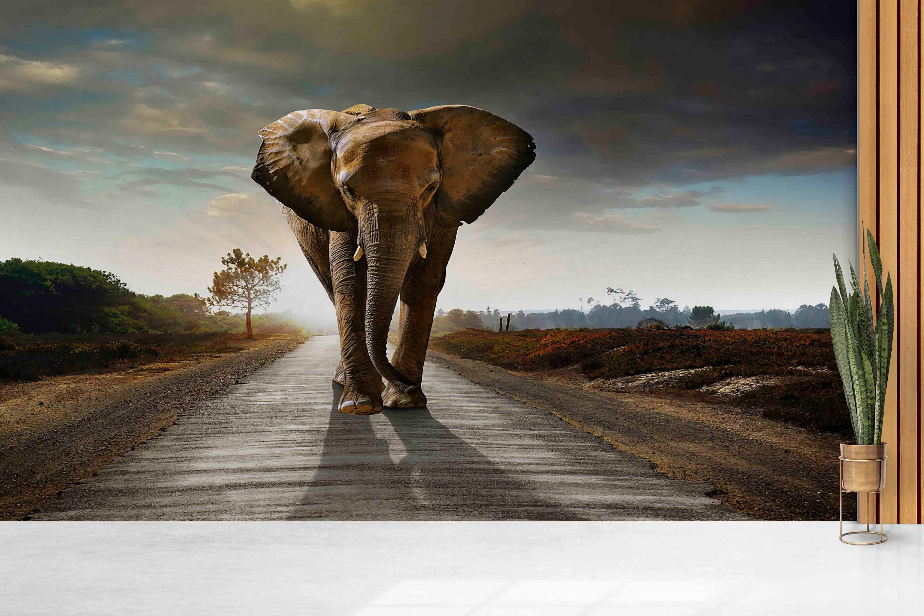 Paper Wall Art, 3D Wallpaper, Wallpaper Wall Art, Wild Nature Wall ...