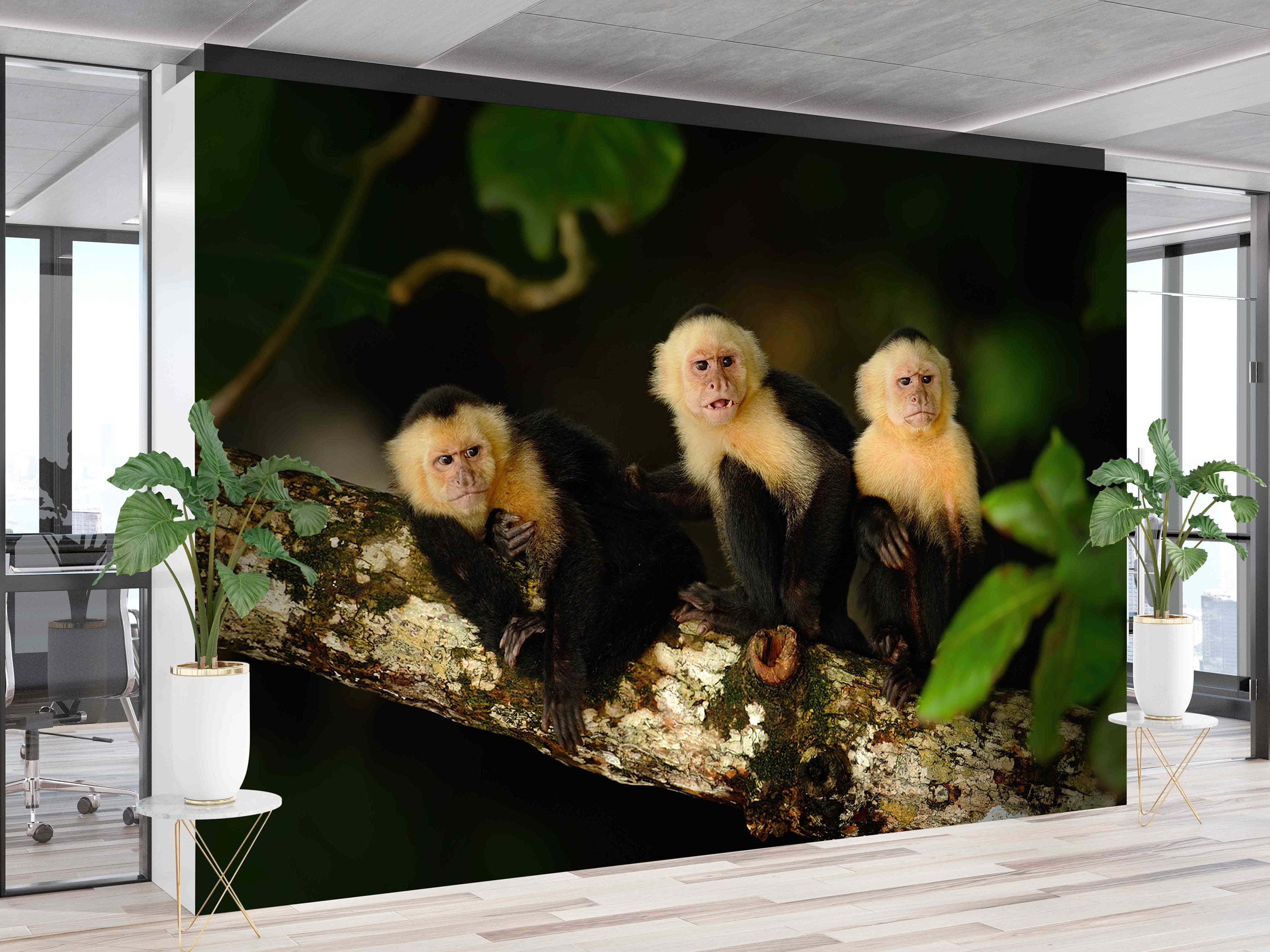 Paper Wall Art Animal Wall Print, Bright Wallpaper, Cute Chimp Wall Art ...