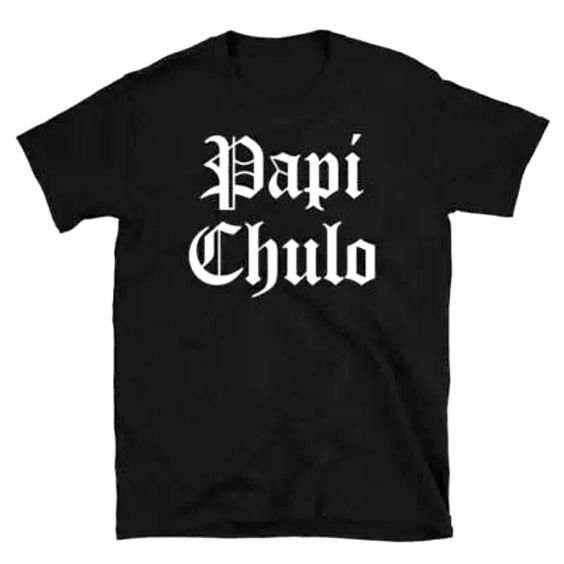 Papi Chulo T shirt New Spanish Boricua Puerto Rico Rican Latino Retro ...