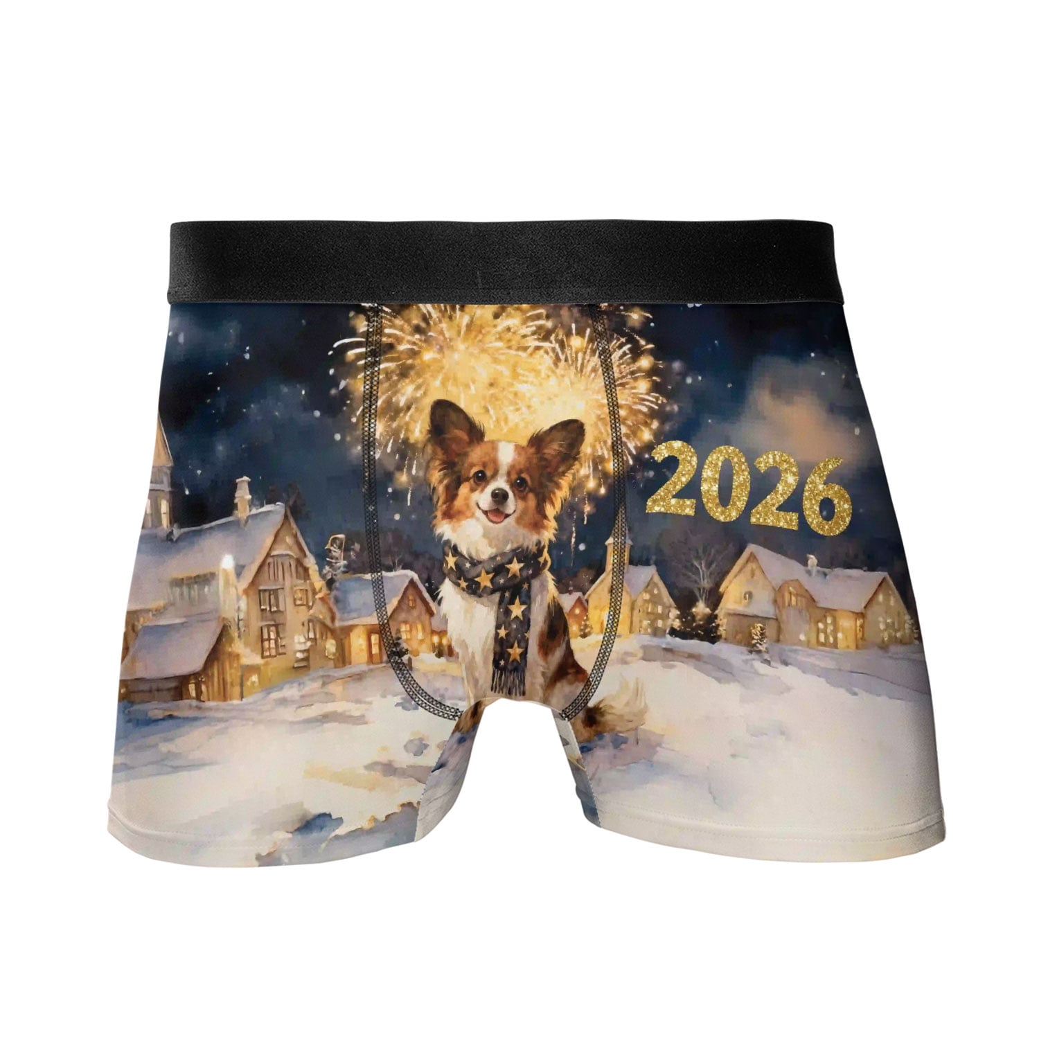 Papillon Happy New Year 2026 with Fireworks on New Year's Eve All Over ...