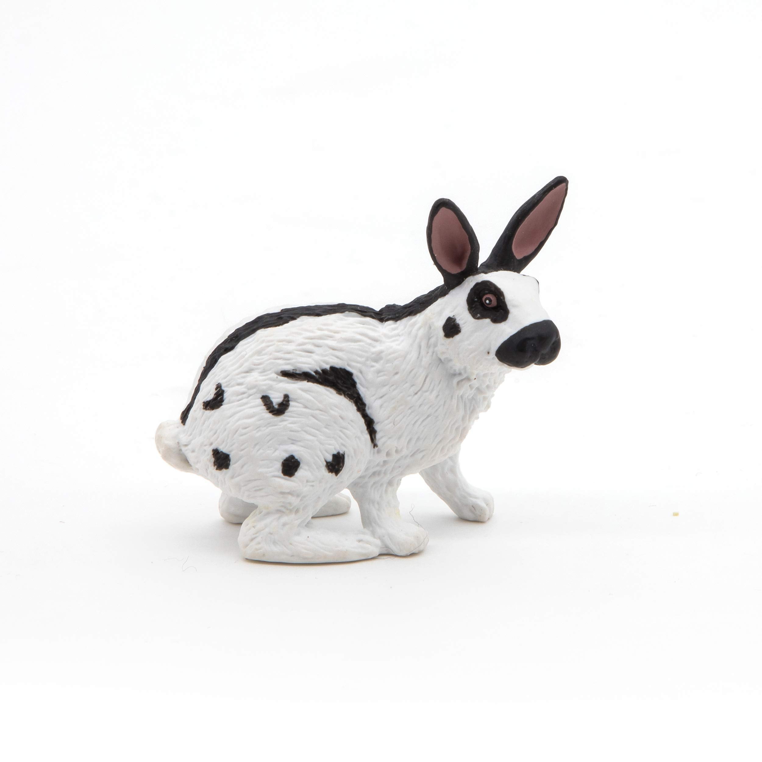 Papillon Rabbit - Walmart.com