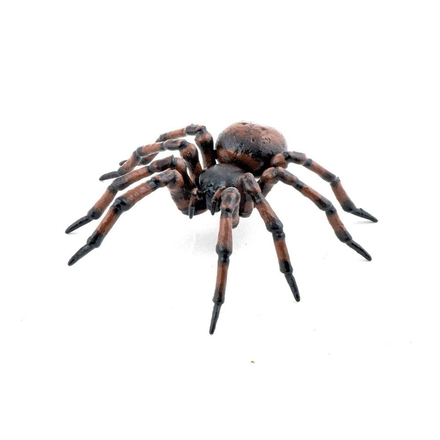 Papo Common Spider Hand Painted Figurine - Heirloom Quality Collectible ...