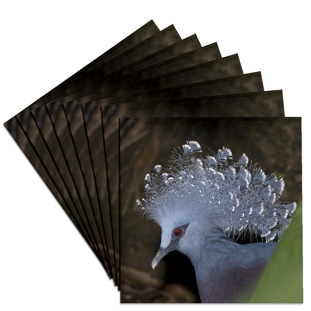 Papua New Guinea, Victoria Crowned Pigeon, Bird - Oc12 Bfr0036 ...