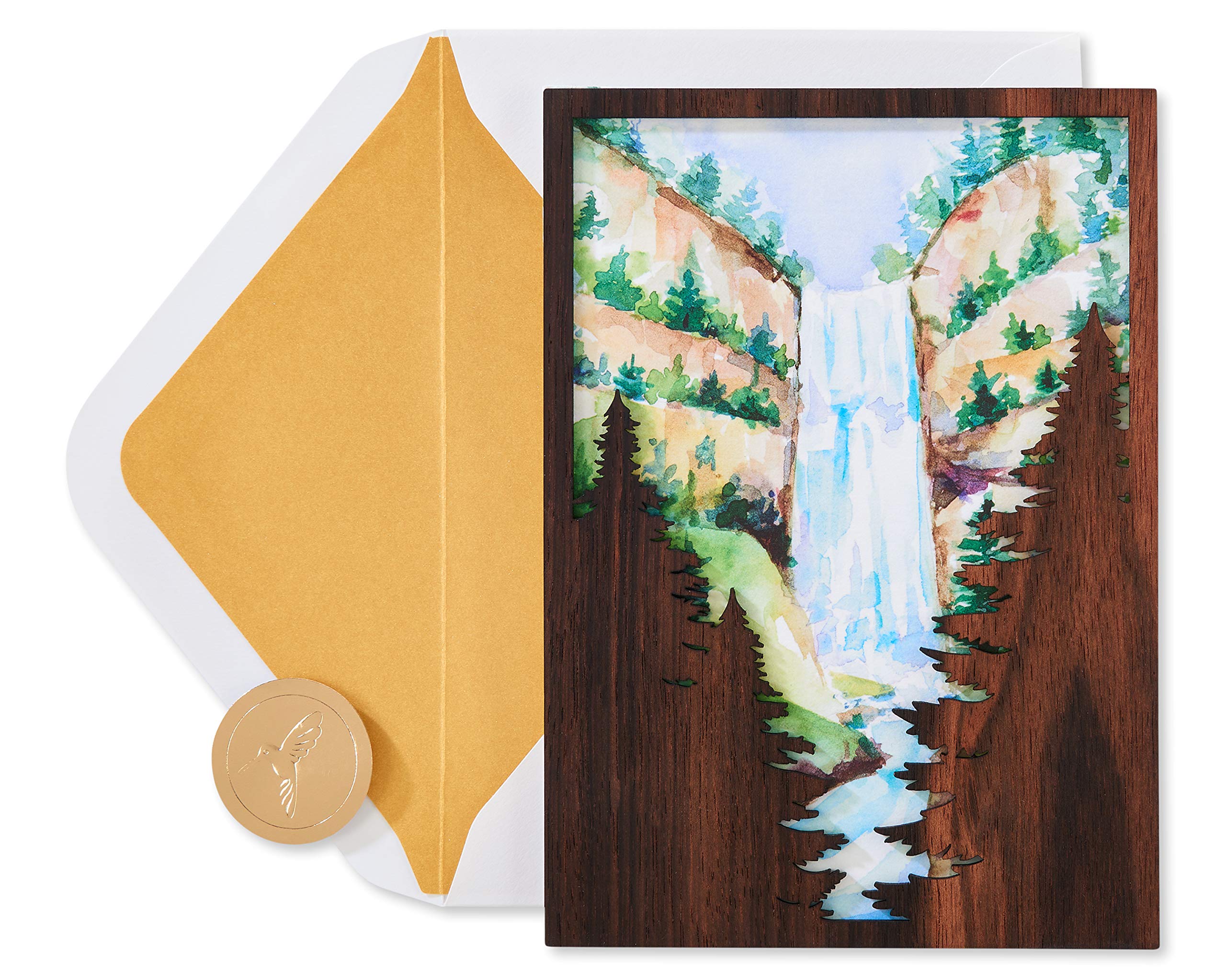 Papyrus Birthday Card for Him (Spectacular Birthday) - Walmart.com